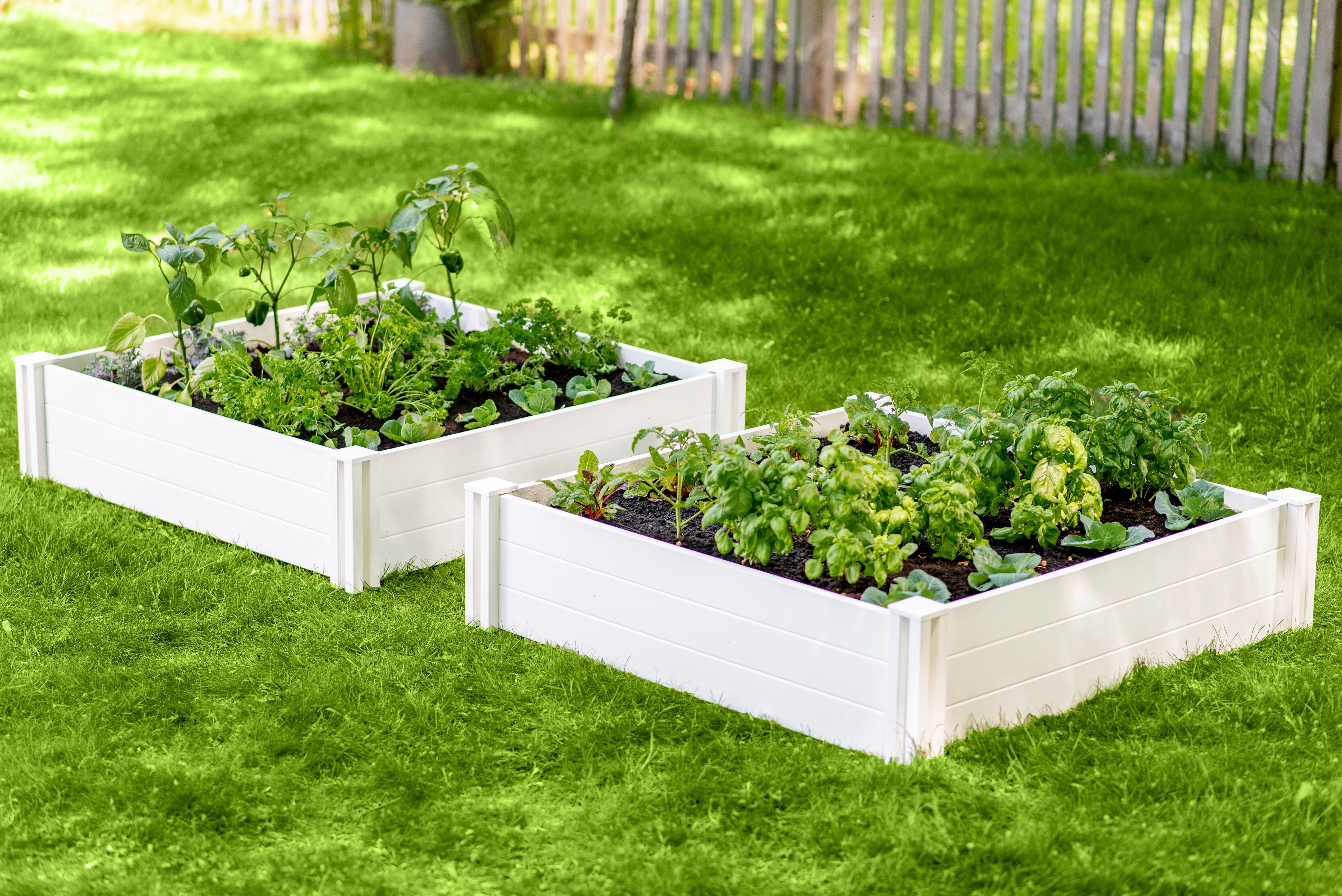 CLASSIC 4x4x11 Garden Bed 2 Pack